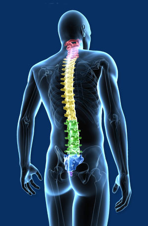 Donald Corenman, MD, DC | Spine Surgeon Hawaii and Colorado